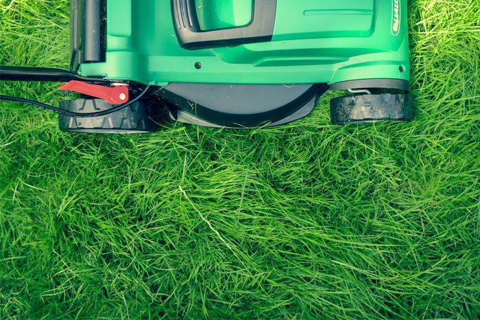 The Essential Guide to Choosing and Using Power Gardening Tools ...